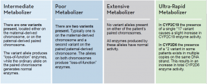 PGx Drug Metabolism